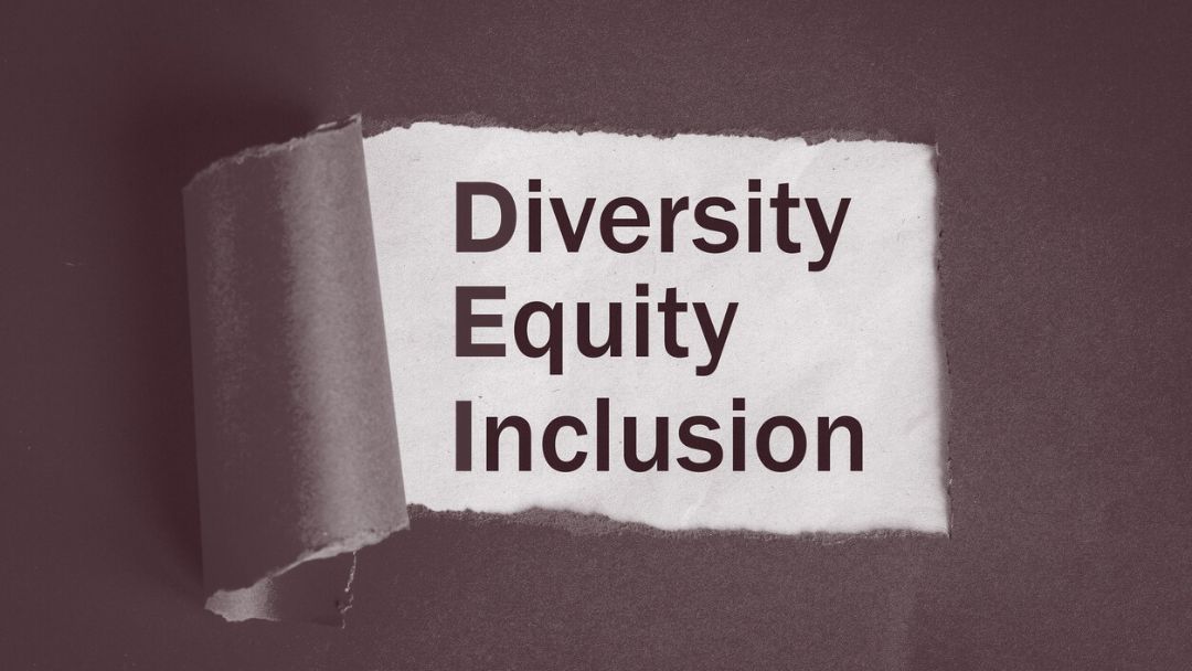 ALERT: Stop DEI in State Agencies and Public Higher Ed - Idaho Family ...